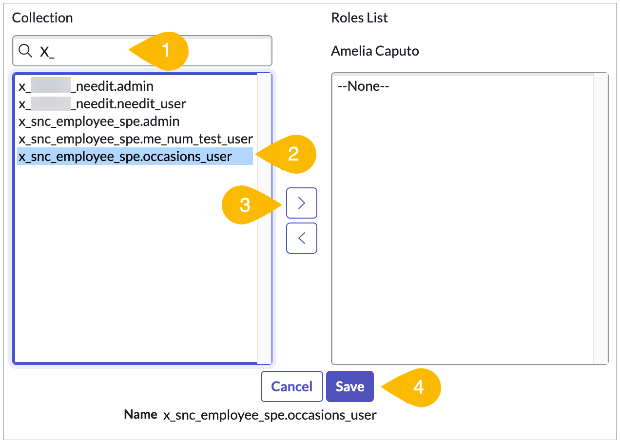 Roles | ServiceNow Developers