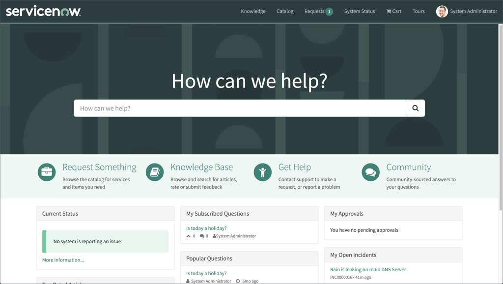 ServiceNow Developers