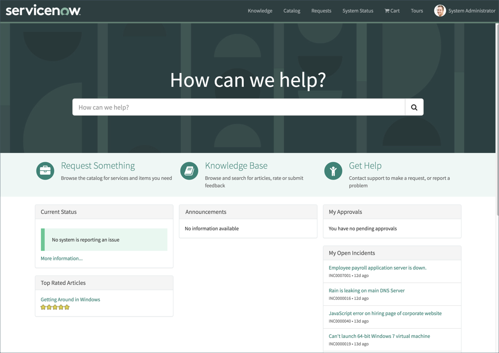 ServiceNow Developers