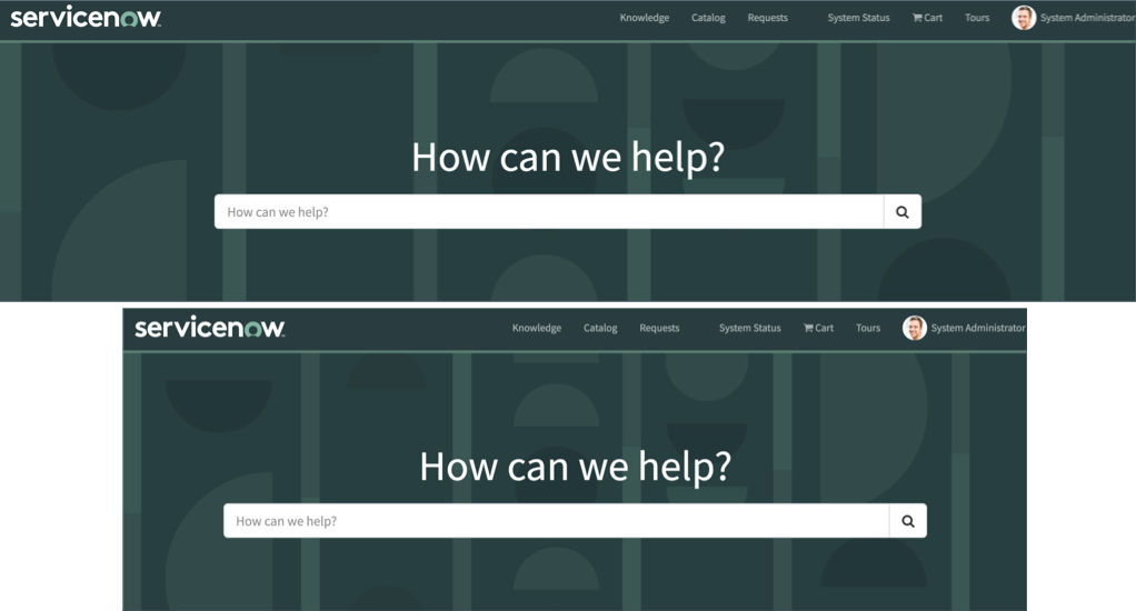 ServiceNow Developers