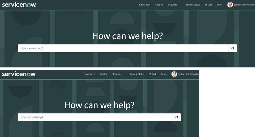 ServiceNow Developers