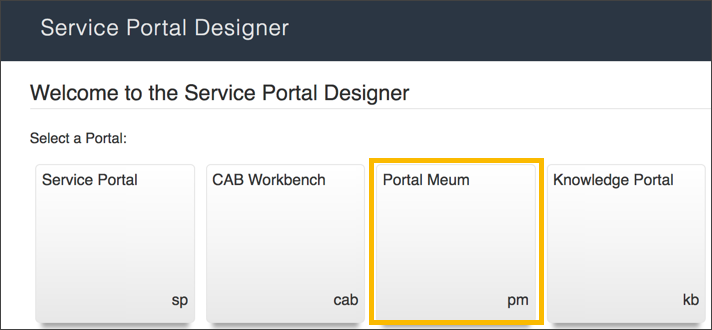 ServiceNow Developers