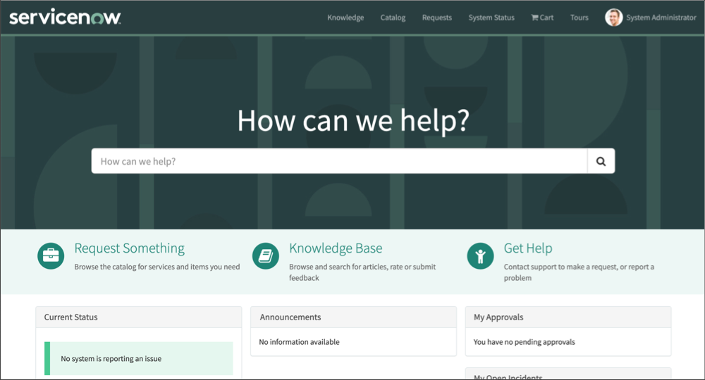 ServiceNow Developers