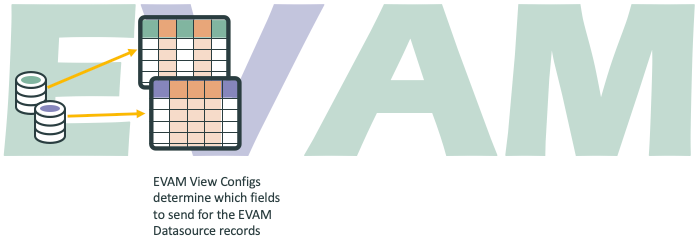 EVAM View Config | ServiceNow Developers