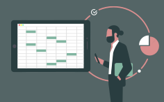 ServiceNow Developers